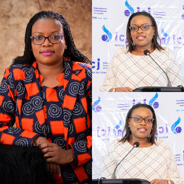 The Council – ICJ Kenya