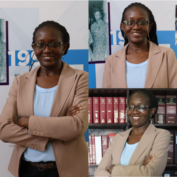 Consultants & Volunteers - ICJ Kenya