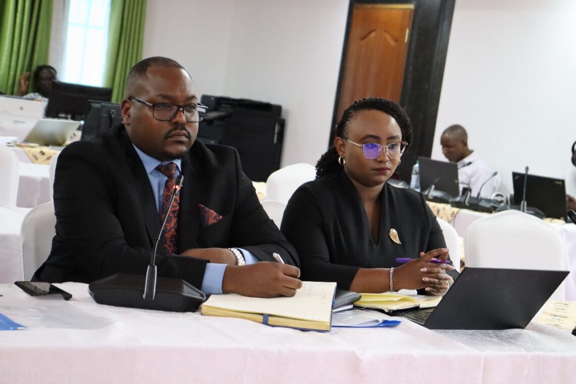 Implement Two-Thirds Gender rule, ICJ tells National Dialogue Committee ...
