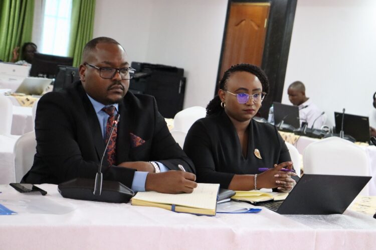Implement Two-Thirds Gender rule, ICJ tells National Dialogue Committee ...
