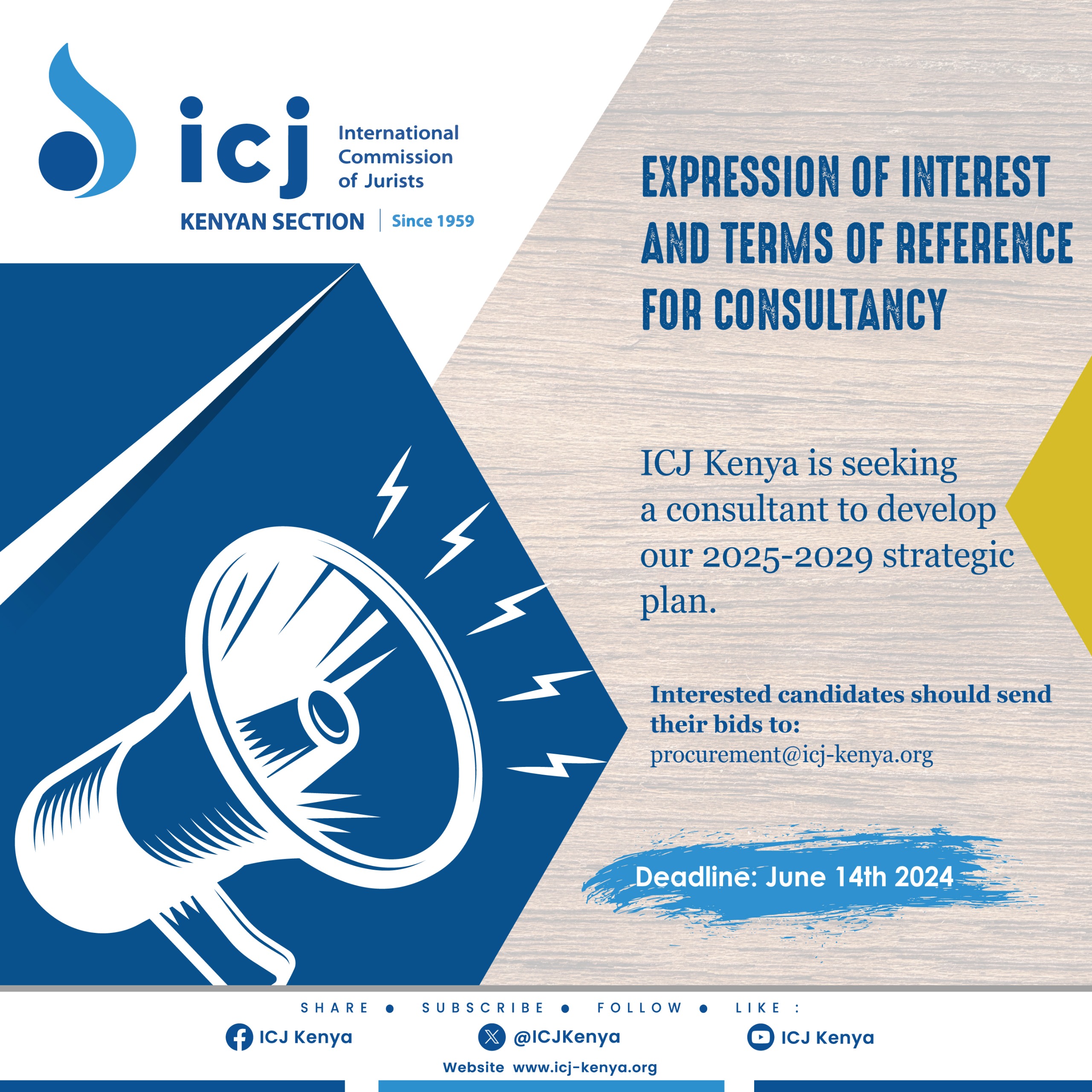 Expression of Interest And Terms Of Reference For Consultancy: ICJ Kenya Strategic Plan 2025 ...