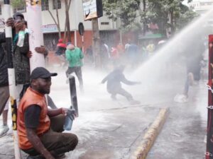 The Power and Necessity of Effective Public Participation - ICJ Kenya