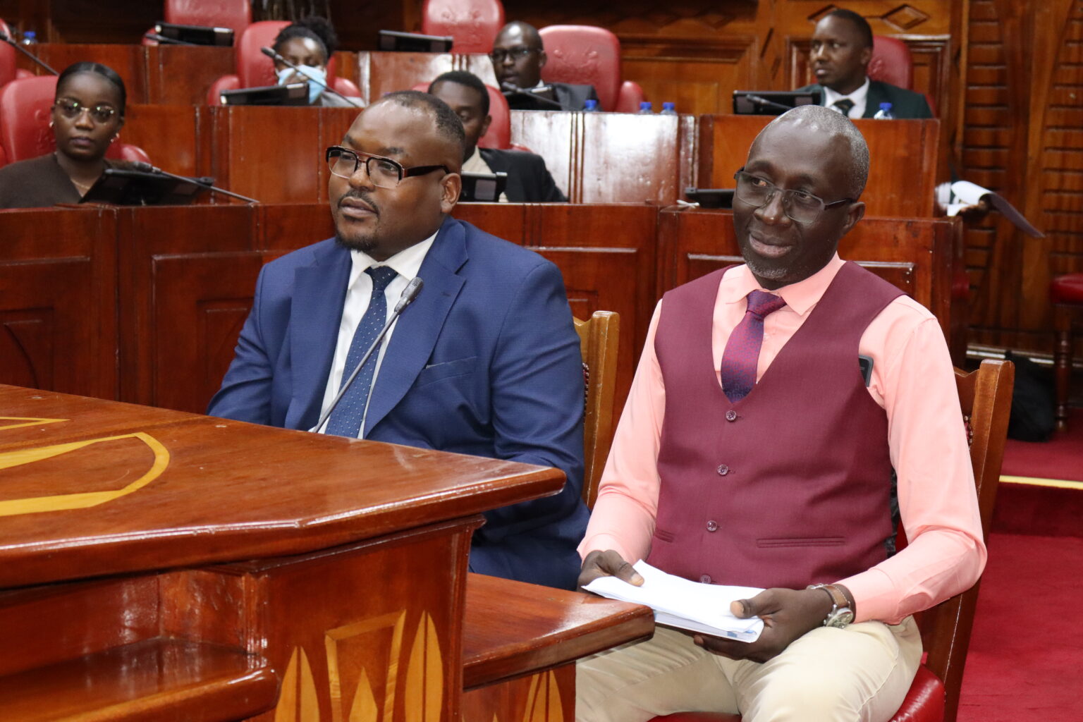 The Case of Francis Murutatetu Versus the Republic of Kenya - ICJ Kenya